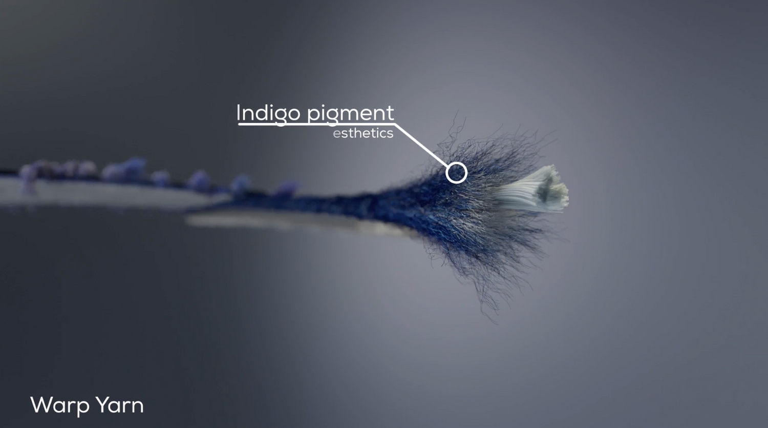 Crash Test – Mo'Cycle